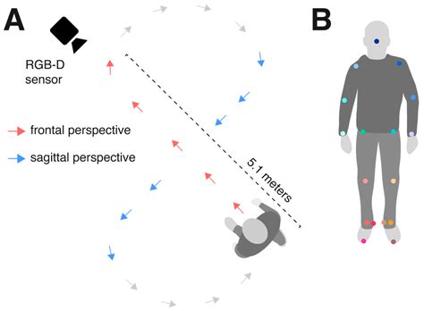 clinical whole body gait characterization using a single rgb d sensor