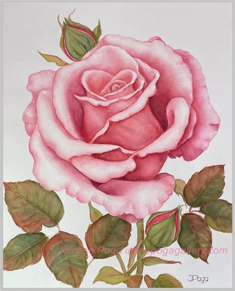 Acrylic Rose Painting Painting Art Collectibles Etna Com Pe