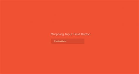 Input Text Type CSS Placeholder Examples OnAirCode