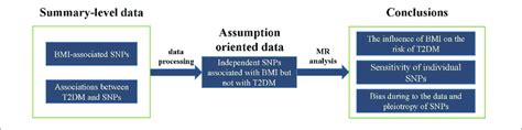 the schematic of data processing and analysis download scientific