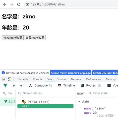 vue3中的pinia使用方法总结 建议收藏版 乐耶园