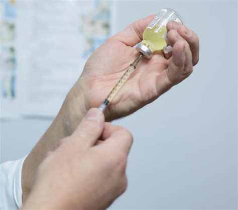 Pet Vaccination VETaround Mobile Vet Sydney