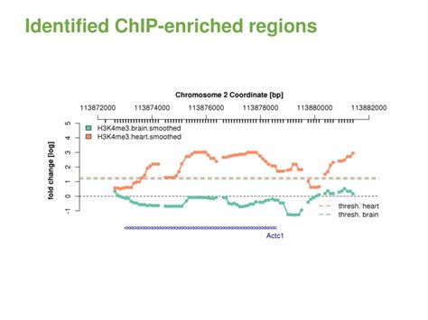 Ppt Analyzing Chip Chip Data Using Bioconductor A Tutorial Powerpoint