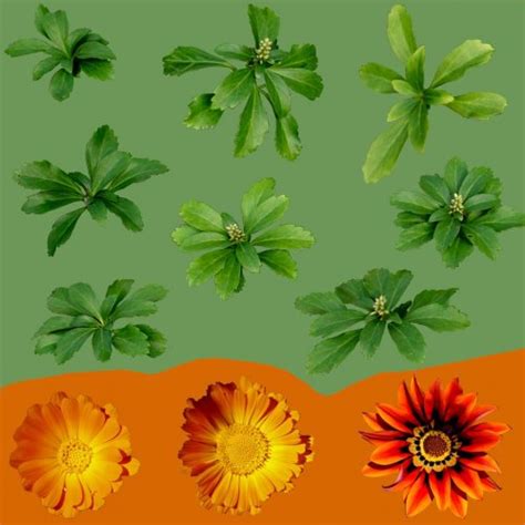 Texture Reflectivity Previsualization Vectorworks Community Board