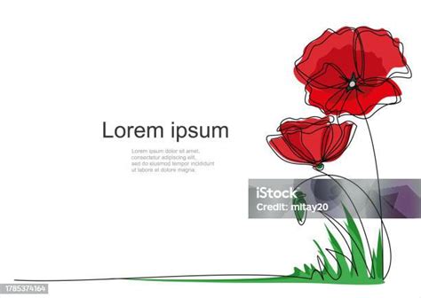 연속 라인 아트 그리기 스타일의 양귀비 꽃 흰색 배경에 격리된 미니멀리스트 블랙 선형 디자인 따옴표 템플릿이 있는 벡터