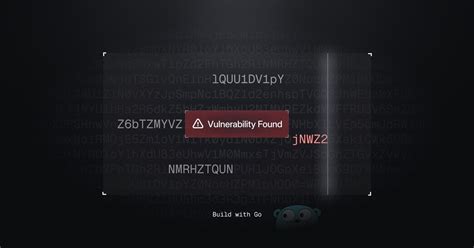 Building A Network Vulnerability Scanner With Go Website Design In