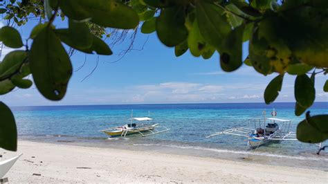보홀 돌고래 워칭 And 발리카삭 스노클링 And 버진아일랜드 호핑 투어 조인중식 포함