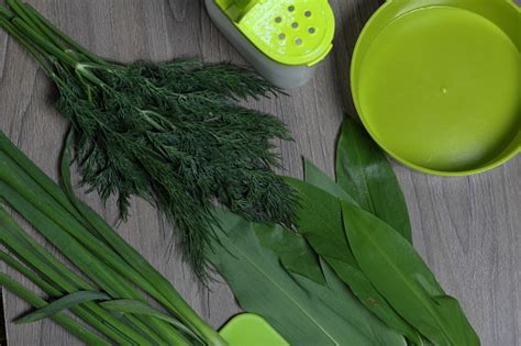 테이블 위에 신선한 채소 들이 깔끔하게 배치 되었습니다 향기로운 양파 딜 및 야생 마늘 샐러드 Saltcellar 및 커팅 보드에 대 한 컨테이너 근처 0명에 대한 스톡