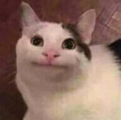 Im 225 Genes Random De Kimetsu No Yaiba Memes Meme De Anime Memes Riset Riset