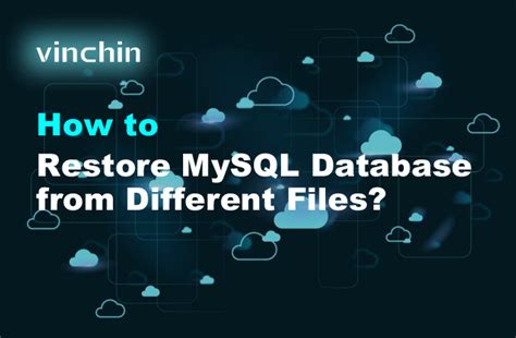 Cara Memulihkan Basis Data Mysql Dari File Yang Berbeda Vinchin Backup