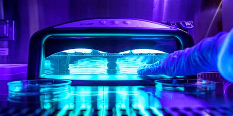 How To Get Rid Of UV Light Smell 10 Easy Methods 2025