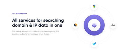 Finding Domain Or IP Information Web App Behance