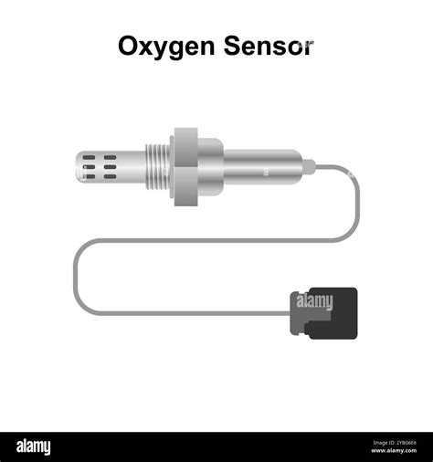 Oxygen Sensor Structure Illustration Stock Photo Alamy