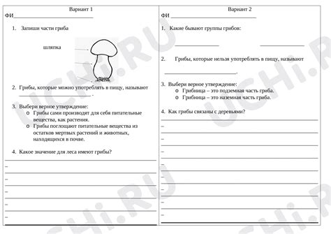 🖍 Проверочная работа №24 по теме “Проверочная работа к уроку окружающего мира по теме «В царстве