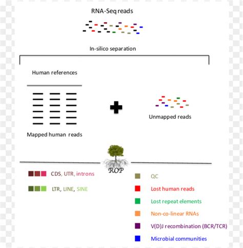 Free Download HD PNG Schematic PNG Transparent With Clear Background ID 76858 TOPpng