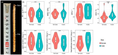 Sex Related Differences Of Ginkgo Biloba In Growth Traits And Wood Properties