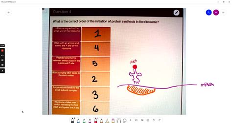 Solved Question 4 Translational Initiation In Prokaryotes Is Based On The Ribosome Binding To