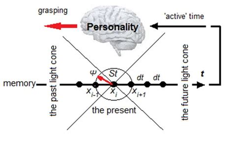 Wave Function Collapse In Brain Backsuperposition Download