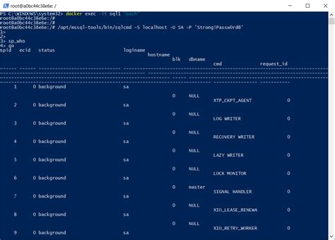 Sql Server And Containers Mariano Kovo