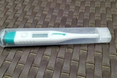Probe Digital Thermometer At 95 Piece Clinical Digital Thermometer In New Delhi ID