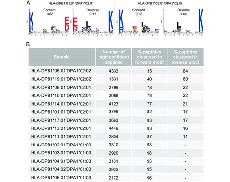 Reverse Motif Is Frequently Found In Hla Dp Alleles A K562 Cells