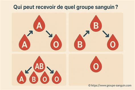 Groupe Sanguin Receveur Universel Ce Quil Faut Savoir