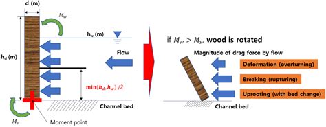 Numerical Simulation Of Debris Flow And Driftwood With Entrainment Of Sediment