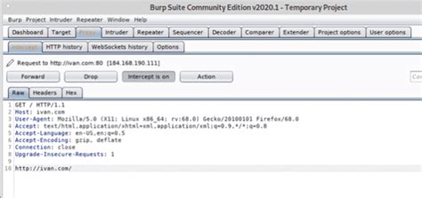 Burp Suite Web Security Testing A Complete Guide