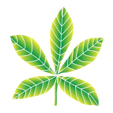 Plant With Roots Clipart Transparent Background Cassava Plant Icon