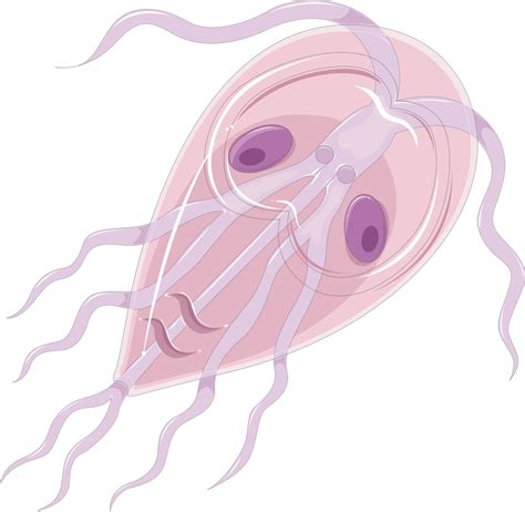 Giardia Lex