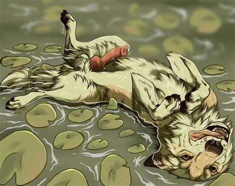 Rule 34 Animal Genitalia Animal Penis Canid Canine Canine Penis Canis