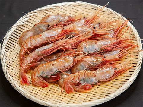 只今品切中。ぐるめ食品の返礼品は 頑張れ増毛応援寄附（ふるさと納税）