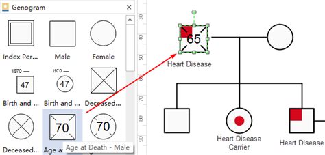 How To Create A Genogram Quickly All You Need To Know About Genograms