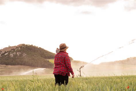 밀짚모자와 빨간 격자 무늬 셔츠를 입은 할머니는 어깨로 괭이를 잡고 농작물이 관개되는 것을 지켜보고 있습니다 밭에서 경작하는