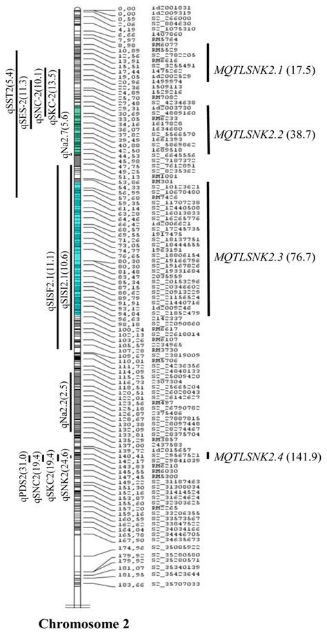 Plants Free Full Text Meta Analysis Of Quantitative Trait Loci Associated With Seedling