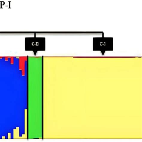 Phylogenetic Trees Of Pakistani Barley Selected Genotypes Based On 32 Download Scientific