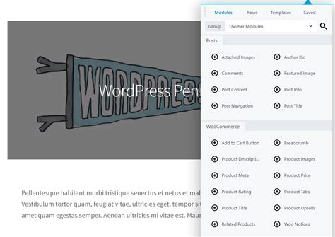 How To Use Beaver Builder Woocommerce Modules 5 Top Options Beaver Builder