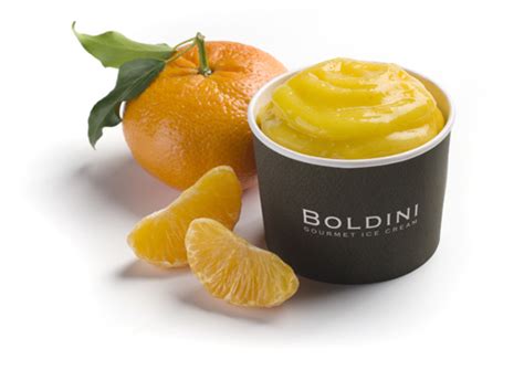 Boldini Gourmet Ice Cream