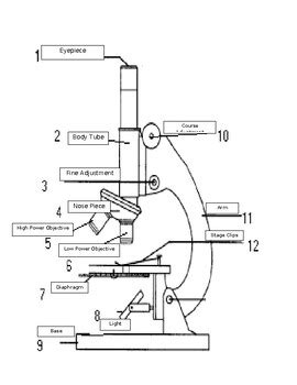Microscope Labeled Diagram By Here To Help Science Teachers TPT