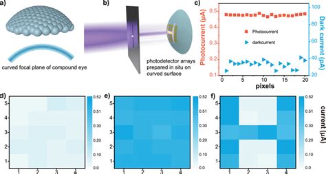 A Schematic Diagram Of A Curved Compound Eye Imaging System B