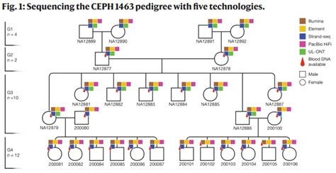 Sandwalk A New Higher Mutation Rate In Humans Includes Indels In