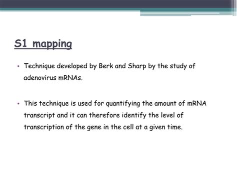 S1 Nuclease Mapping Pptx