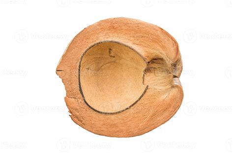 Empty Coconut Shell Isolated On White Background 11015674 Stock Photo At Vecteezy