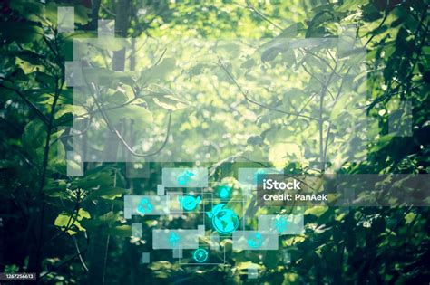 기술 아이콘 환경 및 생태 개념과 지속 가능한 에너지 천연 허브 요법 유기농 의약품 Ai 미래지향적인 스마트 가상 스크린 인터페이스로 부드러운 예술적 자연 배경 개념에 대한