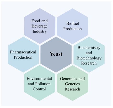 Molecules Free Full Text Molecularly Imprinted Polymers Using Yeast As A Supporting Substrate