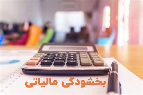 جرایم مالیاتی به مناسبت فرا رسیدن دهه فجر بخشیده می شوند ایرنا