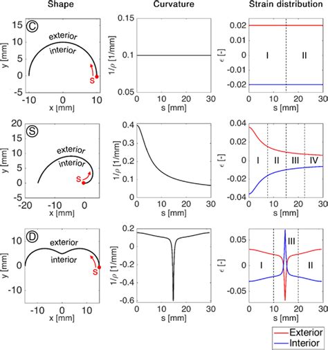 Representation In Cartesian Coordinates Of The Three Different Curved