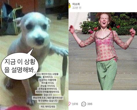 한소희 짤만 남았다칼든 개→이혼짤 드디어 끝났나 엑s 이슈 엑스포츠뉴스 나무뉴스