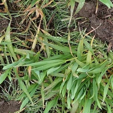 Python Wrong Colors When Using Cv2bitwise Stack Overflow