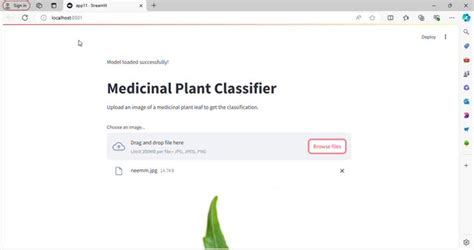 Shree Nithi Kesavan On Linkedin Machinelearning Vgg16 Streamlit